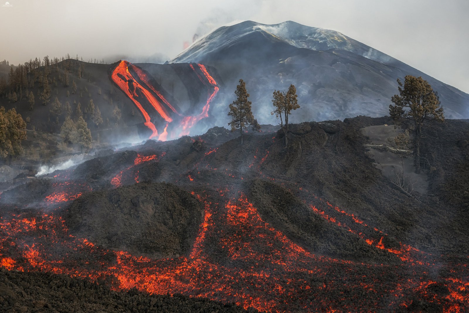 Lava Bombs Film wins Best Cinematography in a Documentary Award - IndieWrap