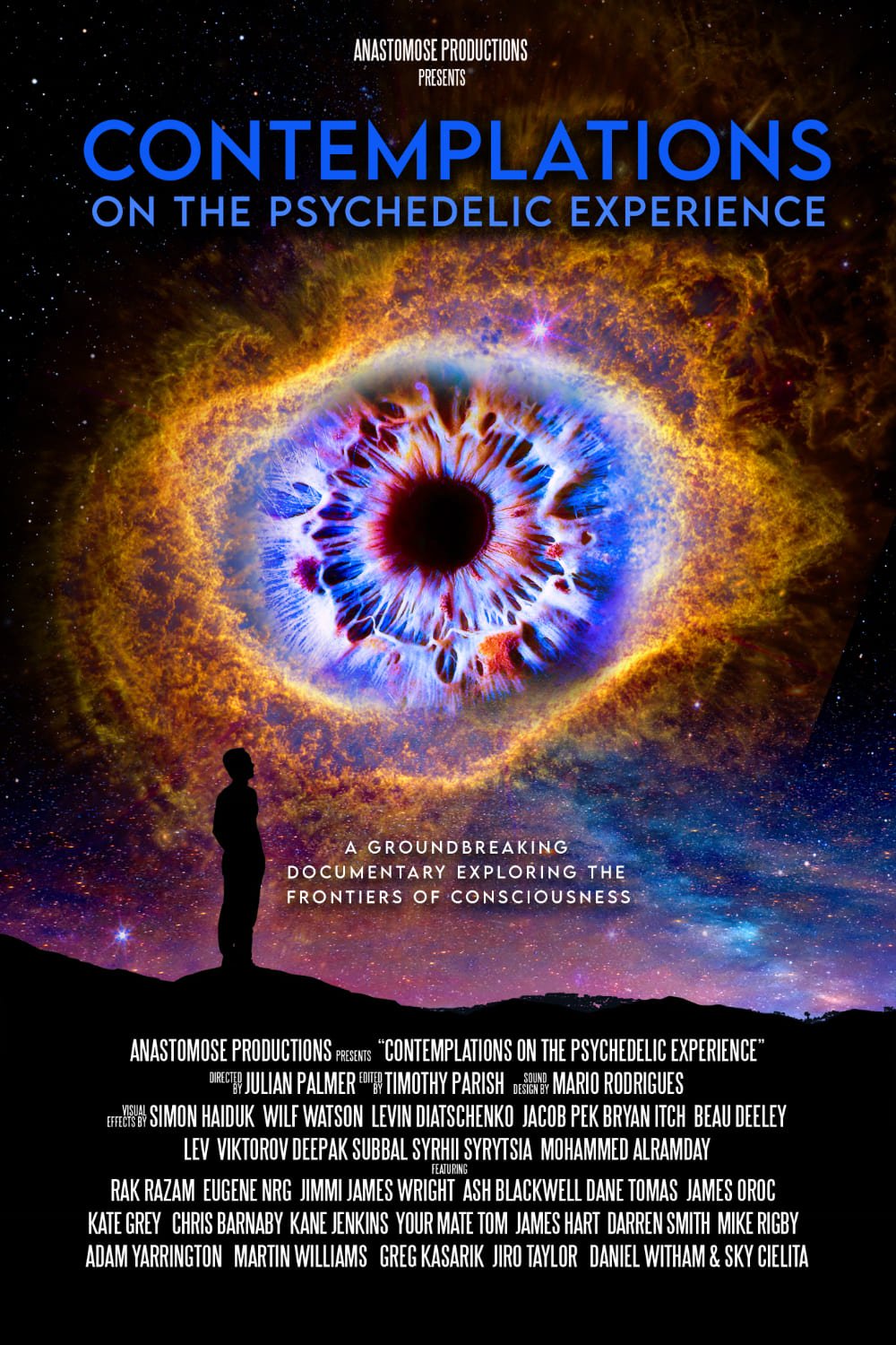 Review – Contemplations: On the Psychedelic Experience directed by ...