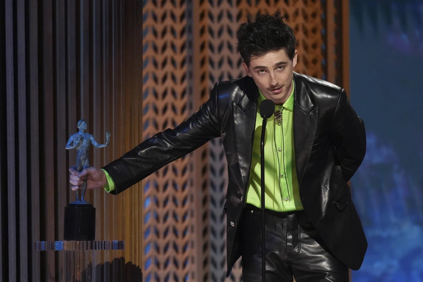 List of winners at the 31st Screen Actors Guild Awards - IndieWrap